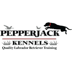 Late Model Racing News & Updates | Racing America